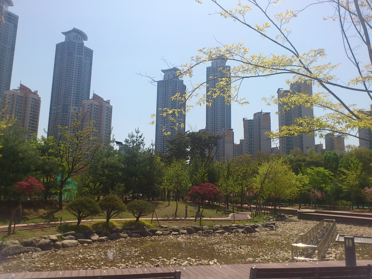 Dongtan, South Korea – What I did on my Holiday